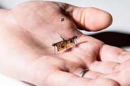 RoboFly Is First Untethered Flying Insect-bot