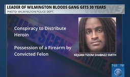 Leader Of Wilmington Sect Of Blood Gang Sentenced To 30 Years In Prison